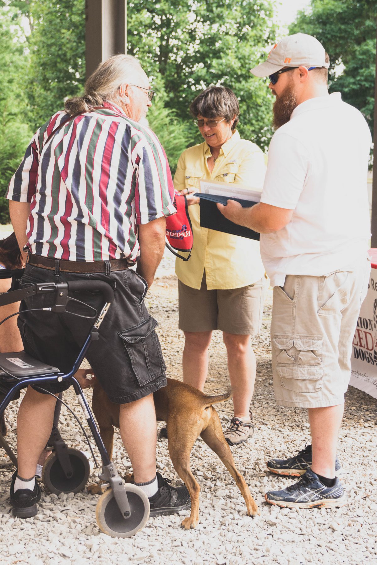 Gallery - Warrior Freedom Service Dogs