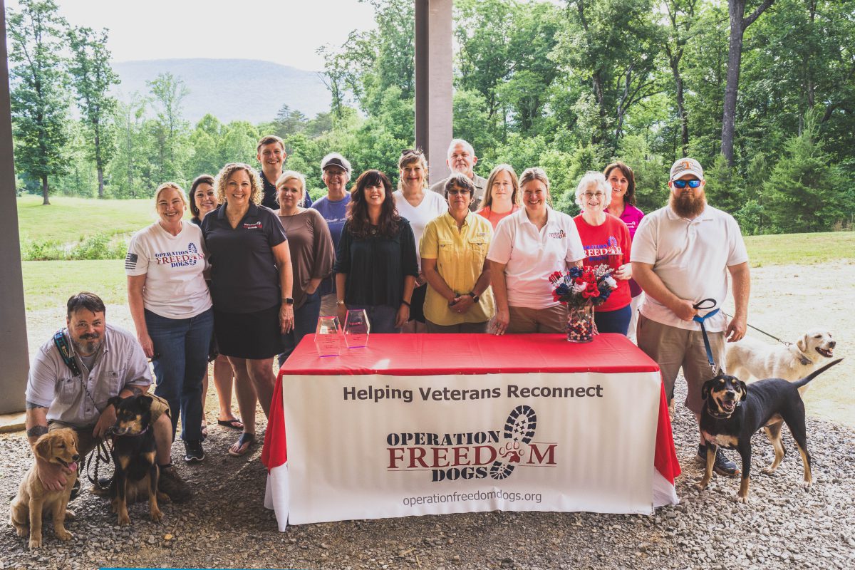 Gallery - Warrior Freedom Service Dogs